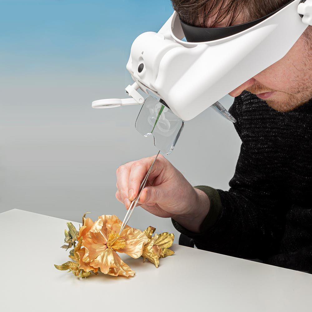 Lightcraft Professional LED Headband Magnifier With Bi-Plate ...