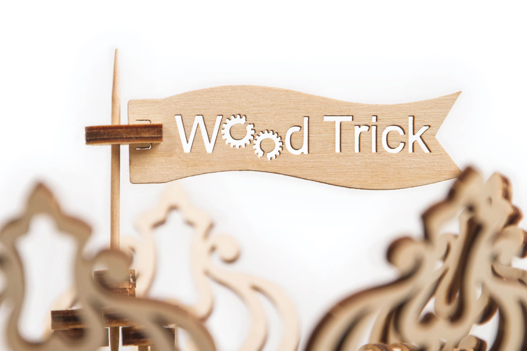 Wood Trick Carousel | Hobbies