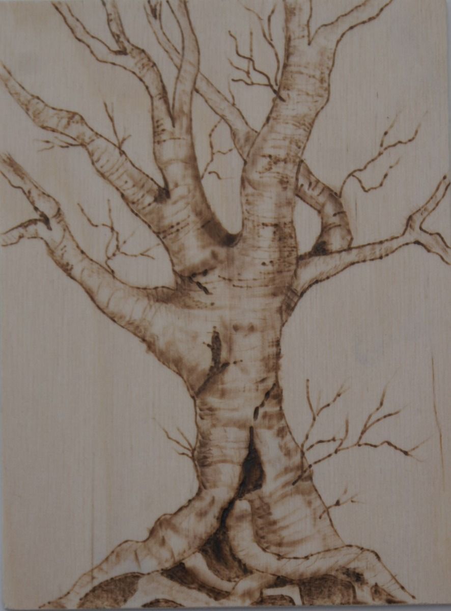 Solid-Point Pyrography | Hobbies