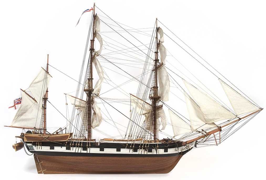 Occre HMS Beagle Charles Darwins Research Vessel 1:60 Scale Ship Model ...