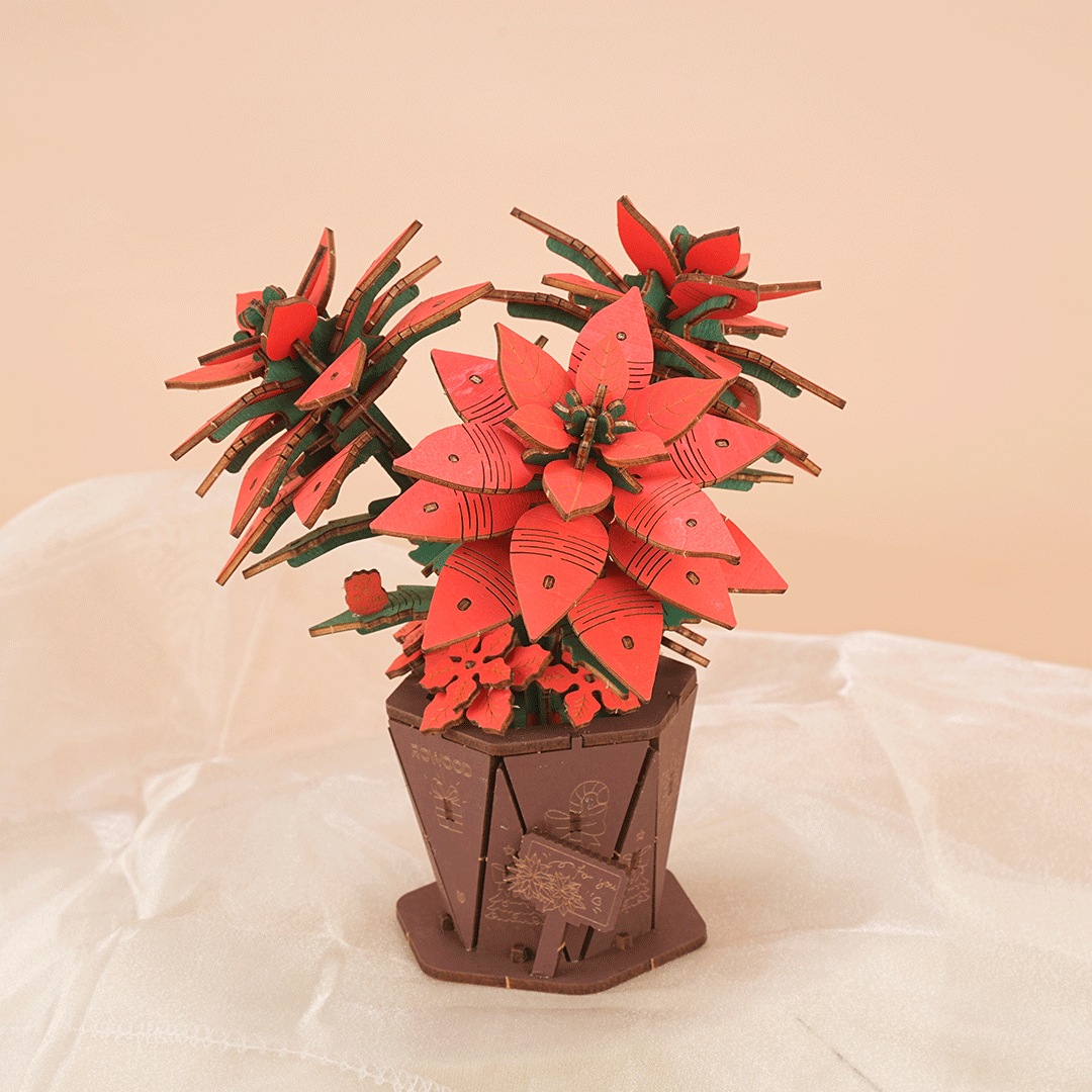 Rowood Poinsettia Wooden Model Kit | Hobbies