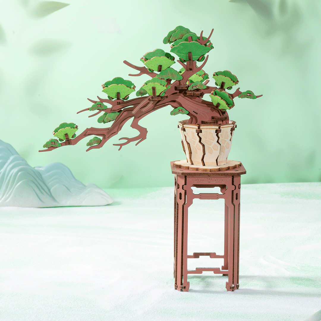 Rolife Evergreen Pine Bonsai Wooden Model Kit | Hobbies