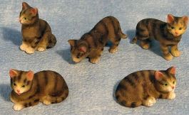 12th Scale Dolls House Assorted Tabby Cats x 5 DA013 | Hobbies