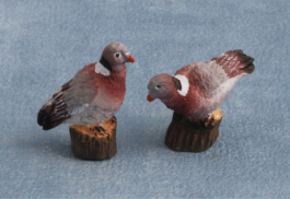 Pigeons Pk 2 for 12th Scale Dolls House | Hobbies