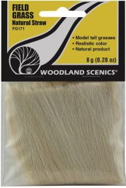 Woodland Scenics Field Grass | Hobbies